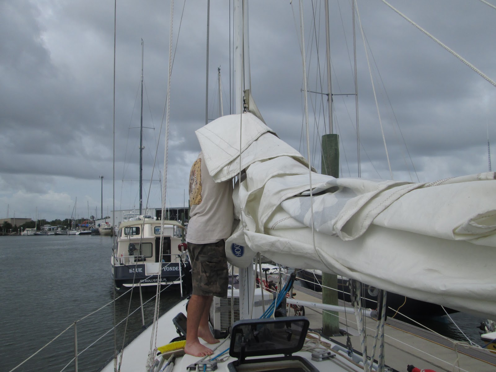 Adventures of Surona and DeJa Vu