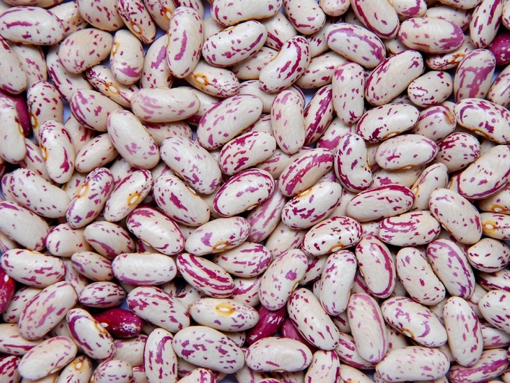 Sergio Pankowski Gastronomia: Feijão - Variedades