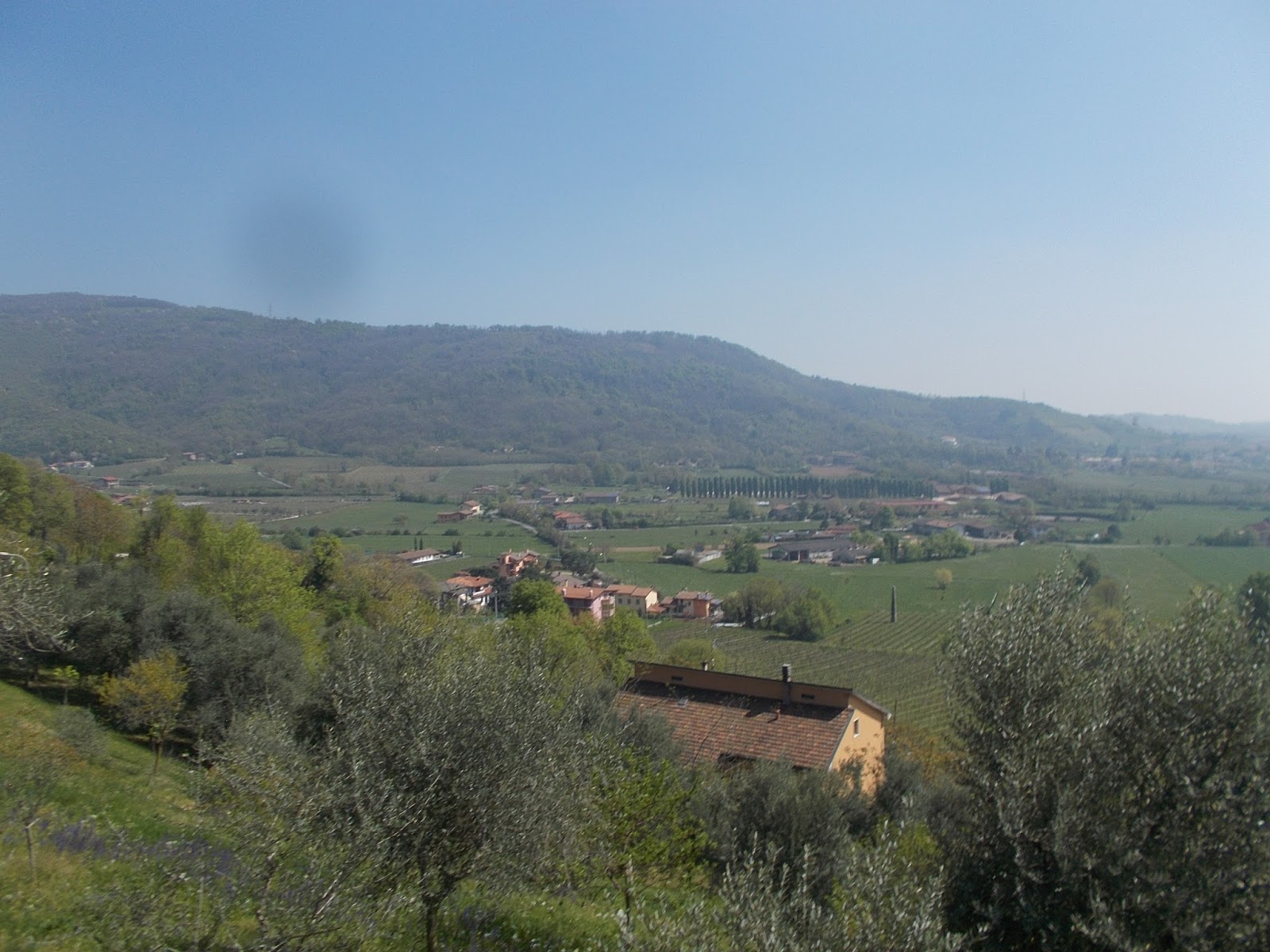 VIVENDO SALENDO: CARATTERISTICHE TECNICHE DELLA SALITA ALLA VILLA SAN ...