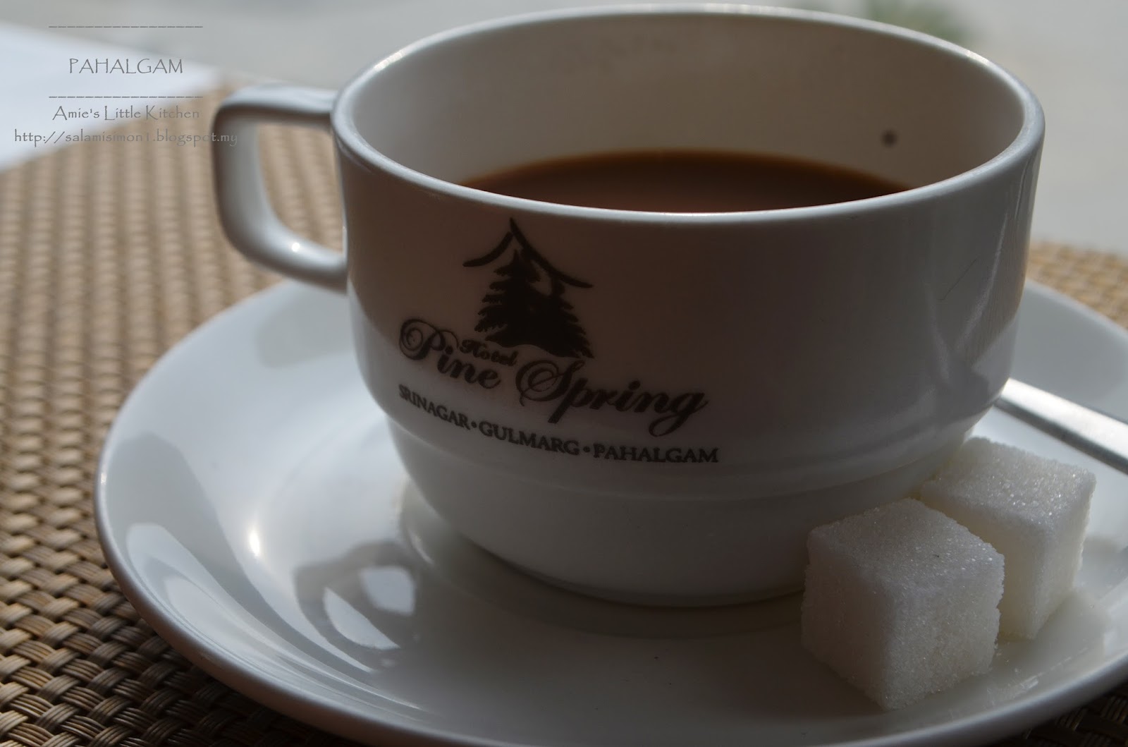 Pahalgam - Hotel Pine Spring - Menunggang Kuda di Kaki Gunung - Amie's ...