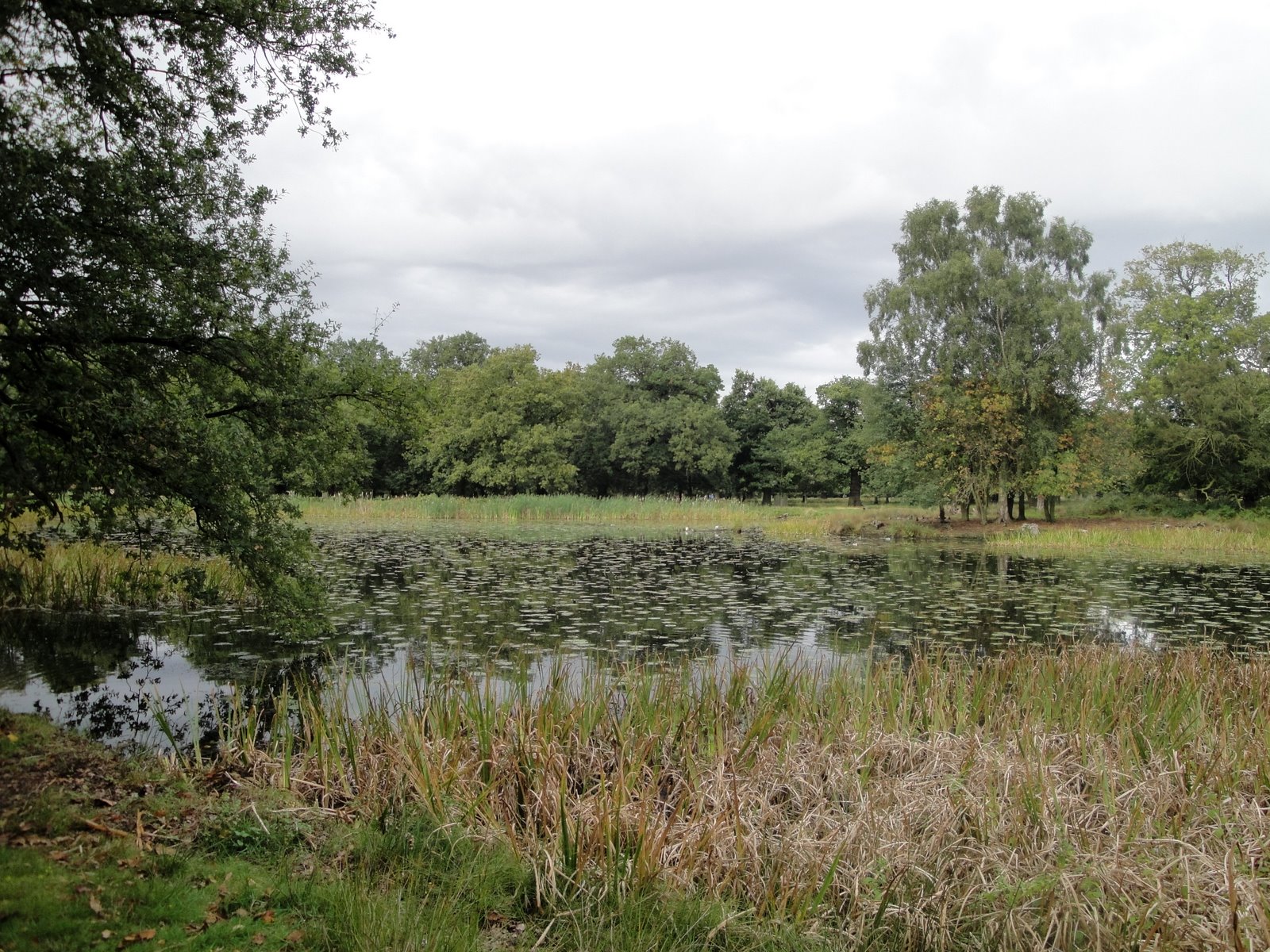 Alistair's Walks: The Two Parks of Dunham