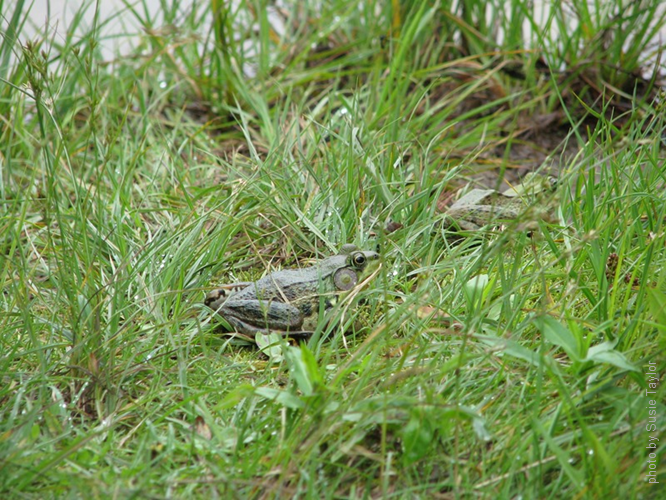 The Moose Curry Experience