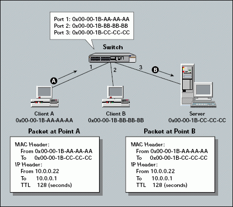 Network Device Part 3: Switches - Learn CCNA 4 ALL With Alok