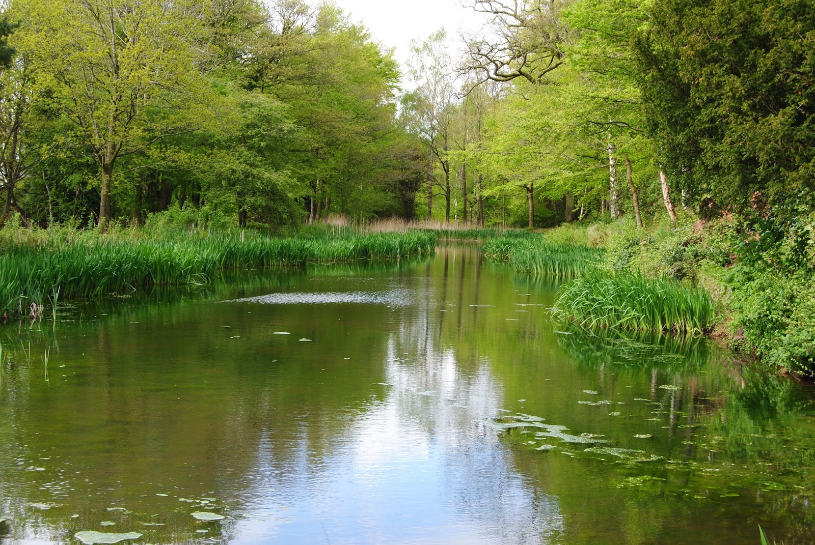 Clarissa Johal: #FolkloreThursday - The Green Maiden (Glaistig) of the ...