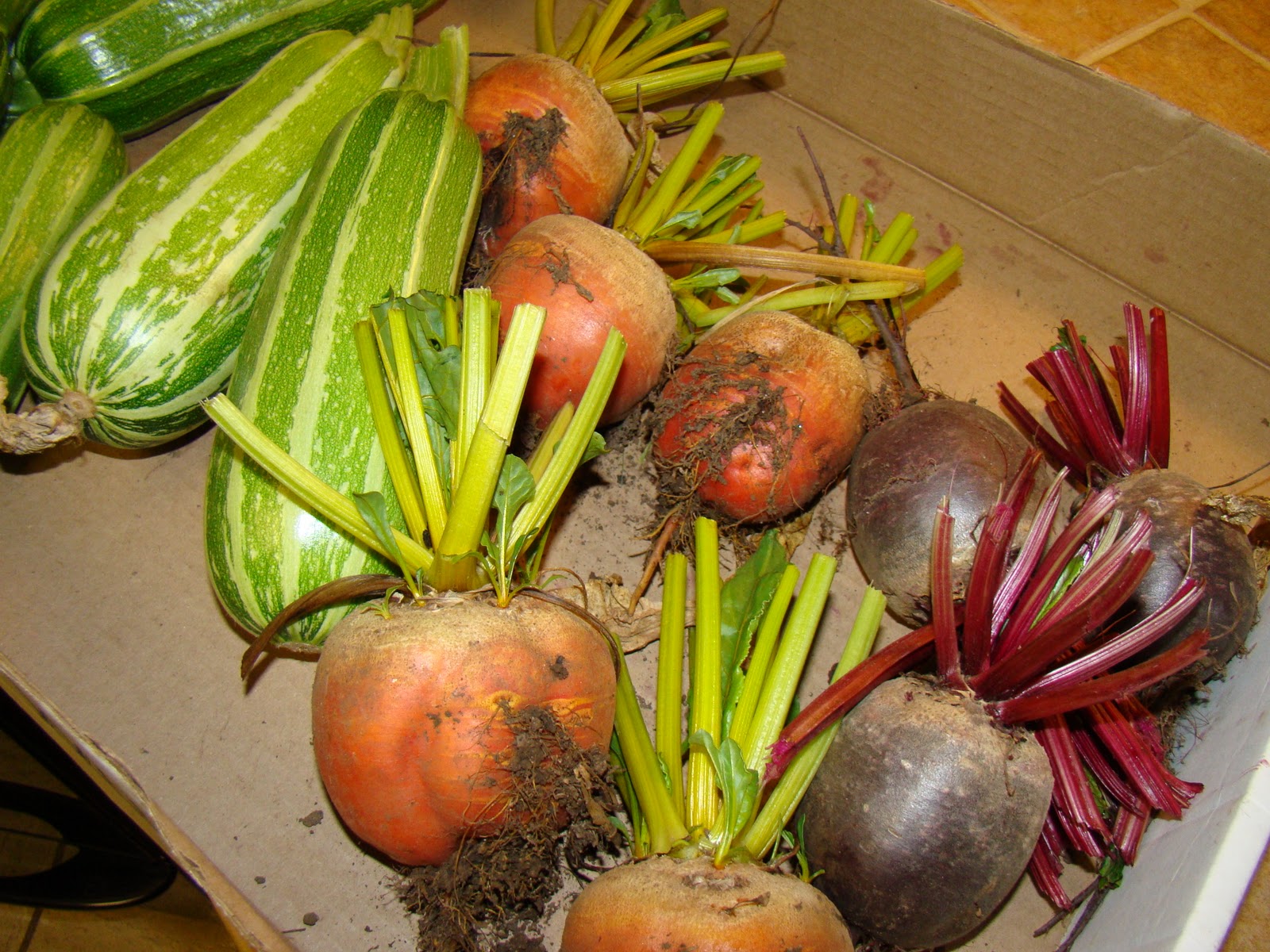 Brooks Hobby Farm: Root Veggie Recipes