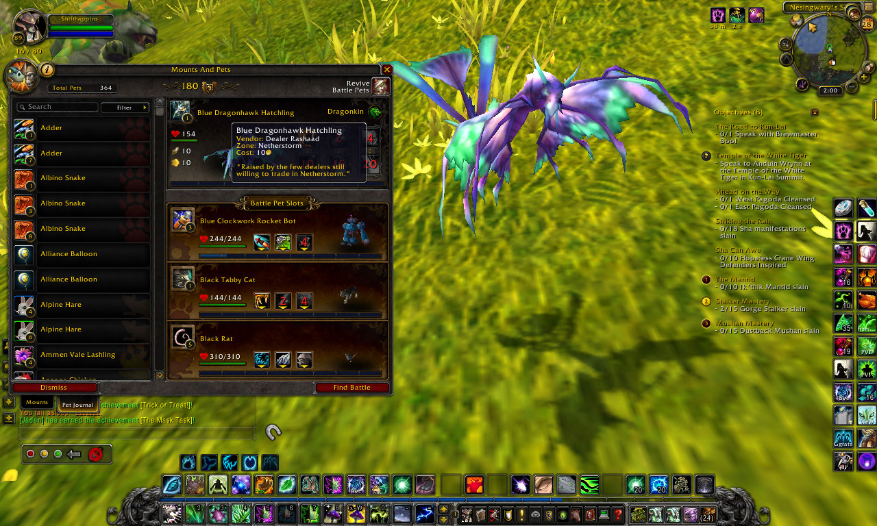 WOW Companion Collector: Blue Dragonhawk Hatchling (uncommon lvl 1)