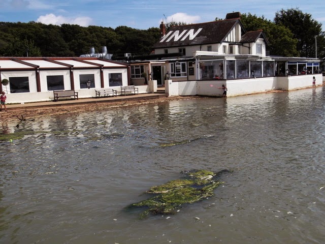 Lin's Isle of Wight Walking Blog: Walk 23 Whippingham to the Folly Inn ...