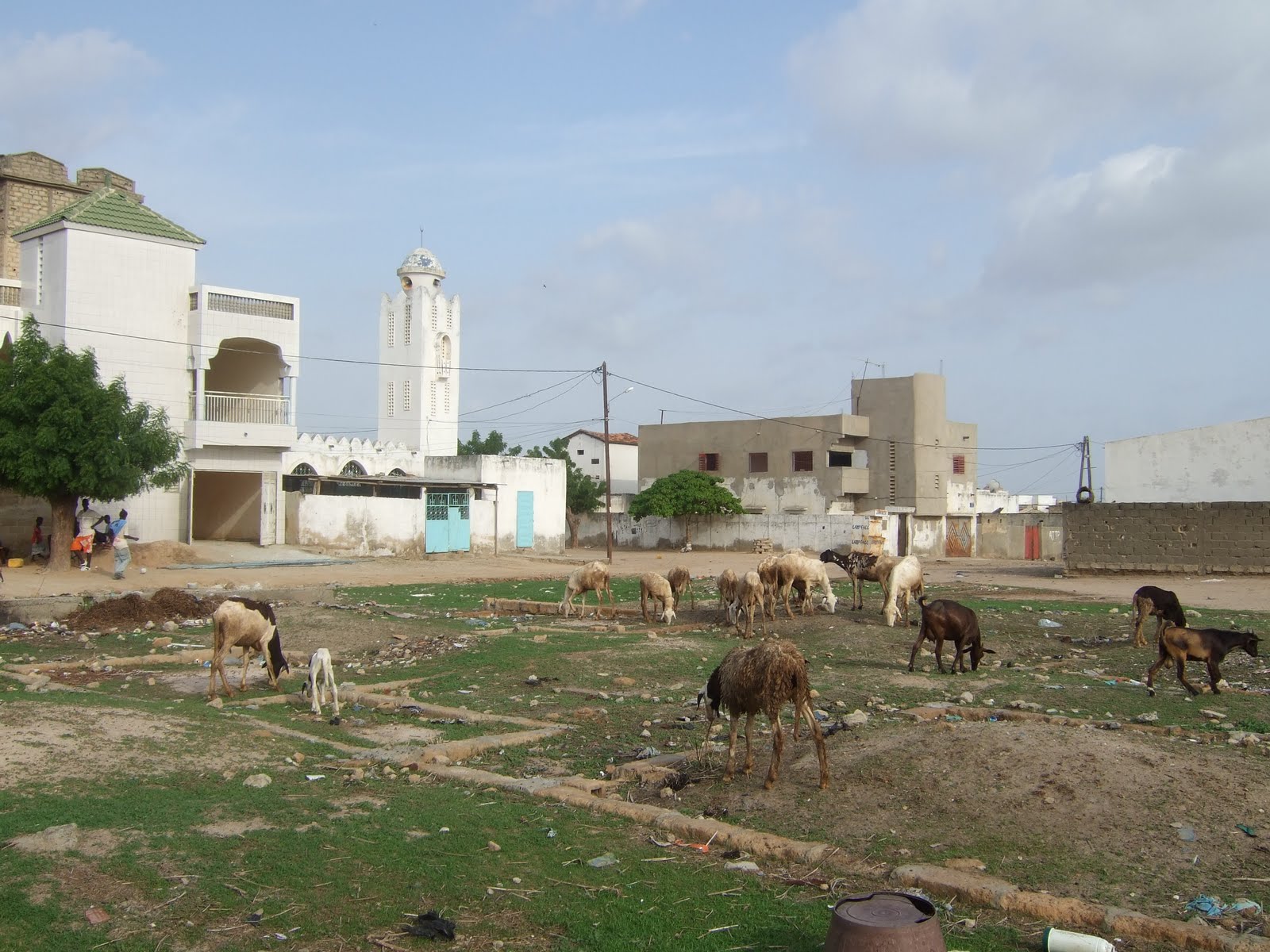 Travel to Sénégal: Kaolack - La ville