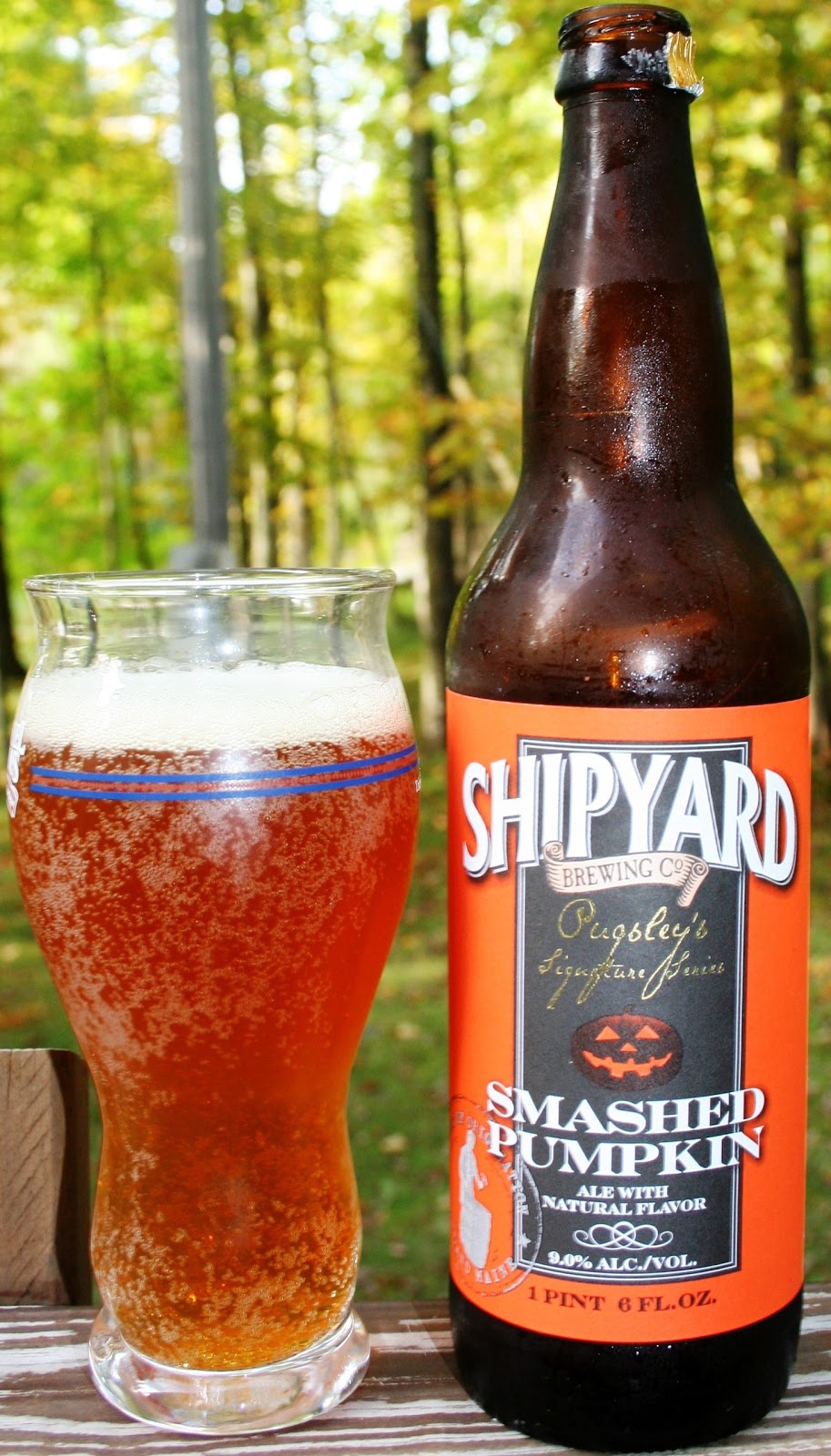 The Insurance Guy's Beer Blog: 45. Shipyard Smashed Pumpkin
