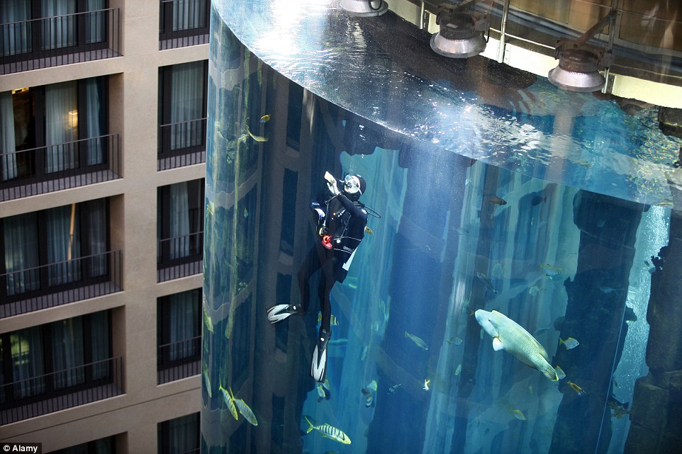 The incredible 82ft-tall hotel aquarium in Berlin that has an elevator ...