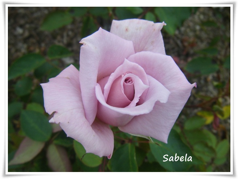 Un rincón para el atardecer: abril 2011