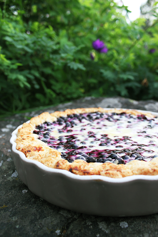 Hunajamurun aarrearkku: Mustikka-rahkapiirakka