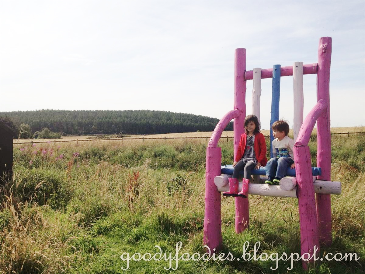 GoodyFoodies: Easter Anguston Farm, Scotland - Strawberry Picking & more..