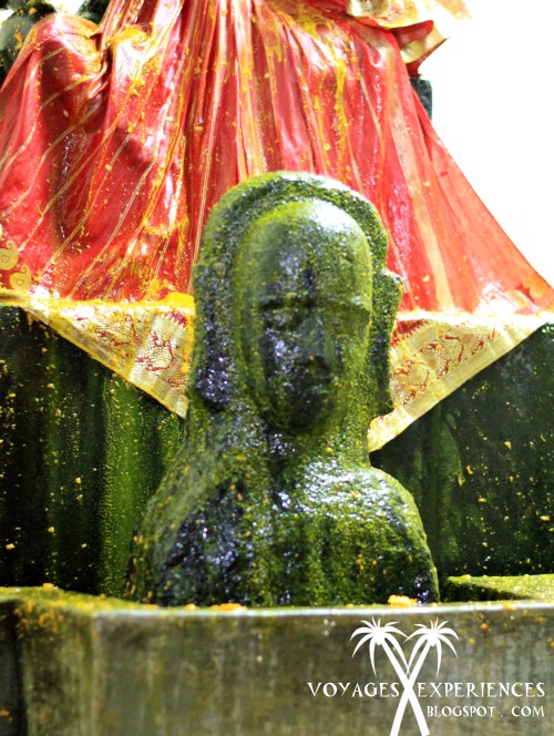 Voyages et Expériences : CANJEE & KATTI POOSAI en l'honneur de la ...