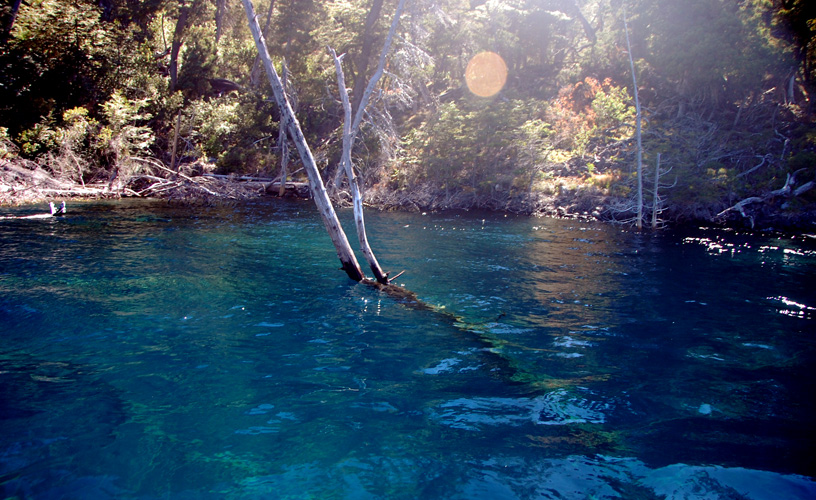 Angélica Italia: Bosque sumergido - Villa Traful - Lago Traful ...