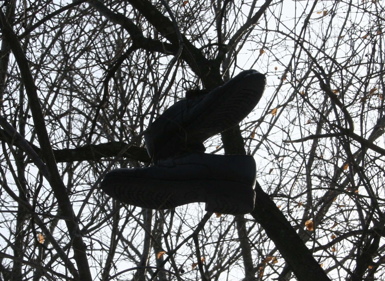 The Carpetbagger: My Quest for a Shoe Tree