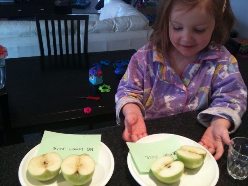 What do you do all day?: Browning apple experiment