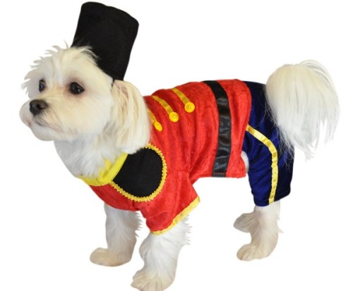 25 Disfraces para perros (ÚNICOS) Navidad, Halloween y Más