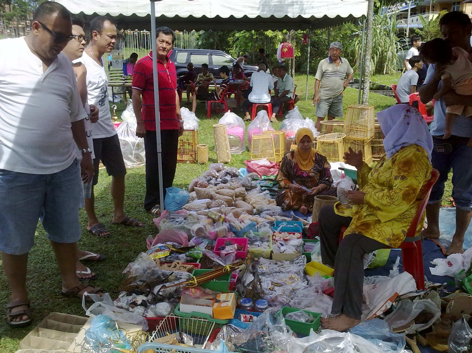 Pertandingan Suara Merbuk Siam/Thailand