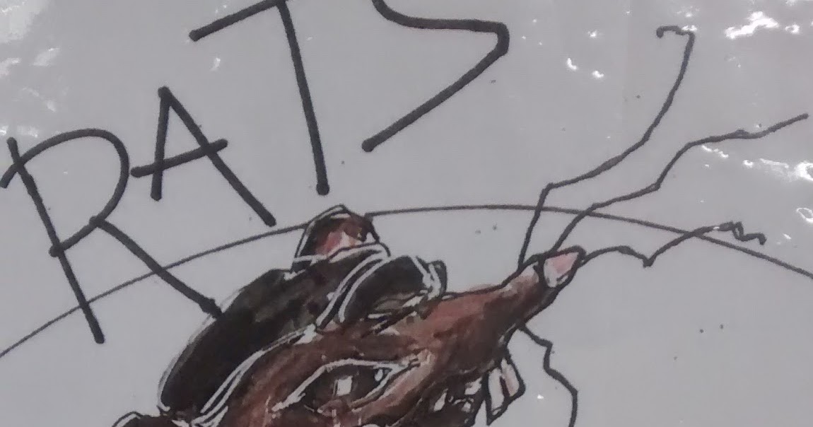 Kitty Power Costume: Dick Whittington: Pantomime Rats - Varaform heads ...