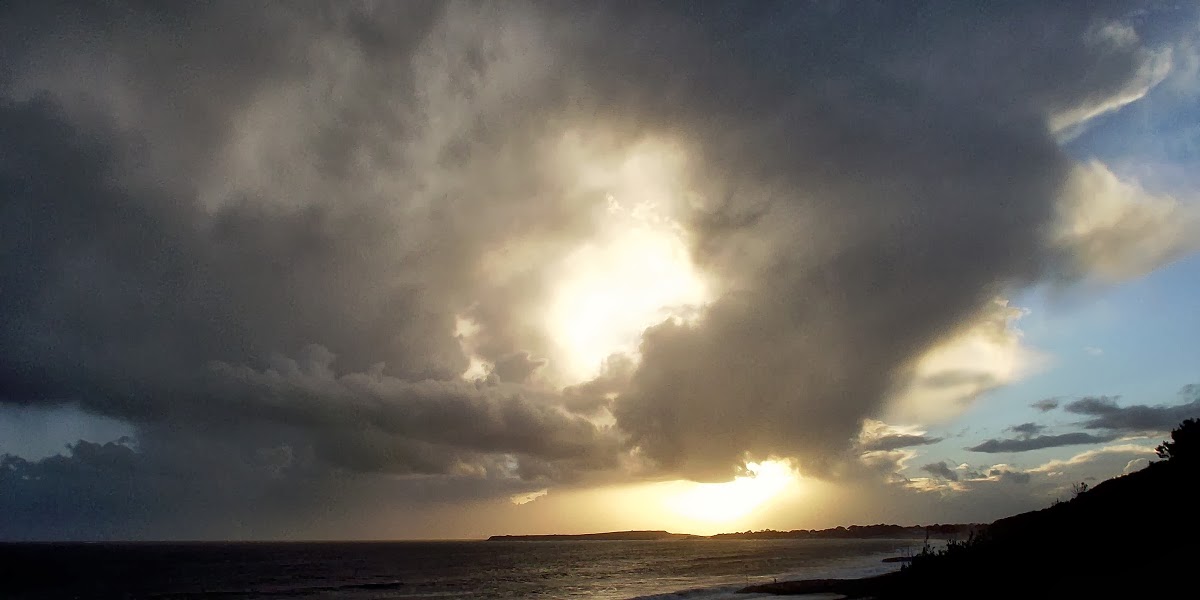 IF YOU GO DOWN TO THE WOODS TODAY....: October 2013