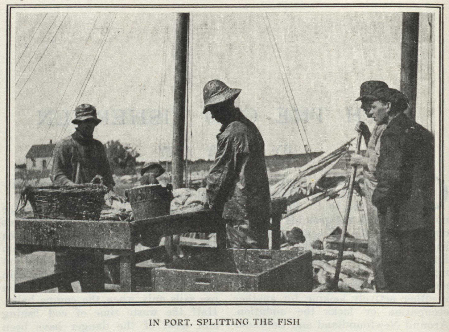 From Stillwater: With The Cod Fishermen