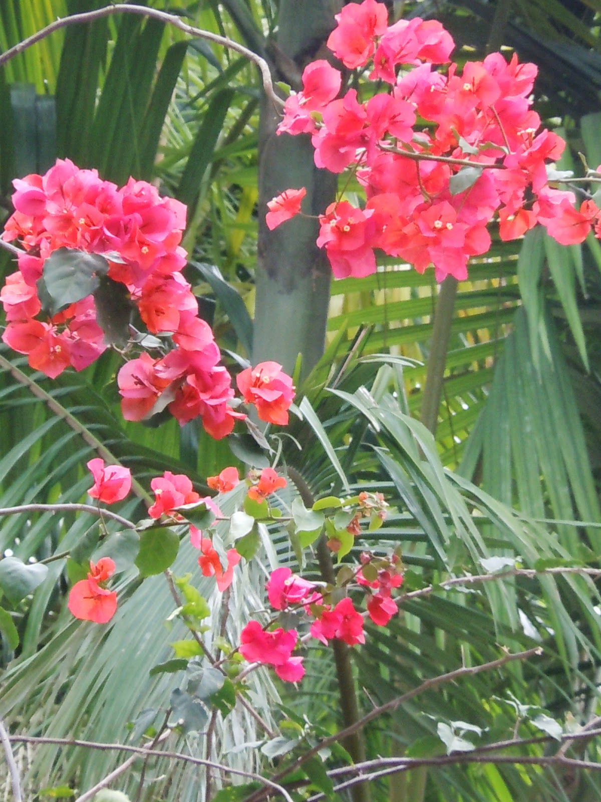 Aron, um espírita: 03/03 Docetismo