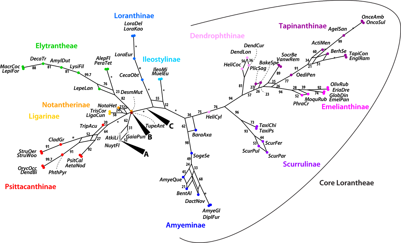 The Genealogical World of Phylogenetic Networks: Using consensus ...