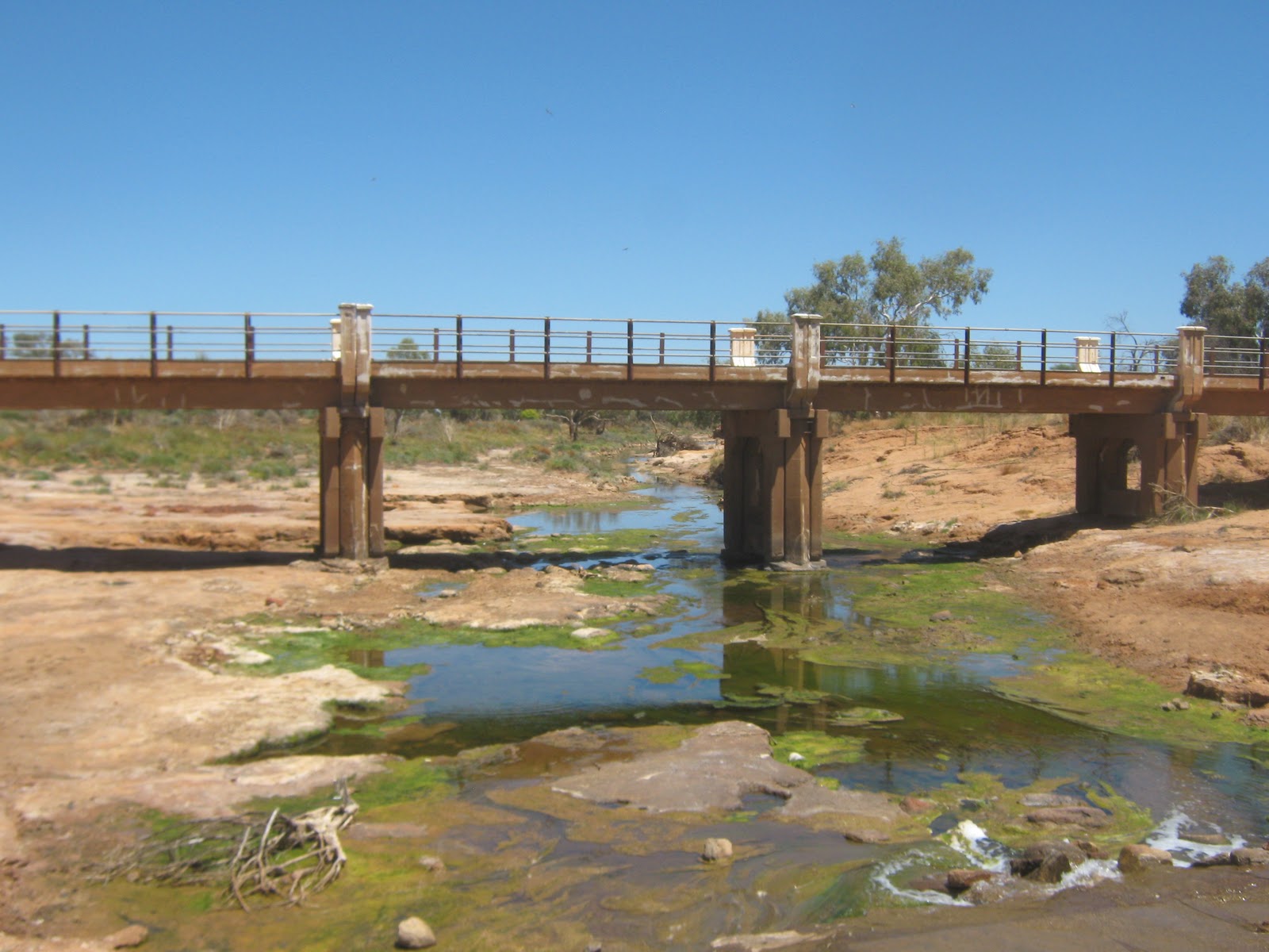 The Grey Roamer - Voyages around Australia: The Murchison