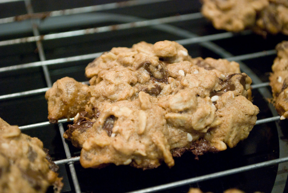 Recipes for a Quarterlife: Social Media Cookies