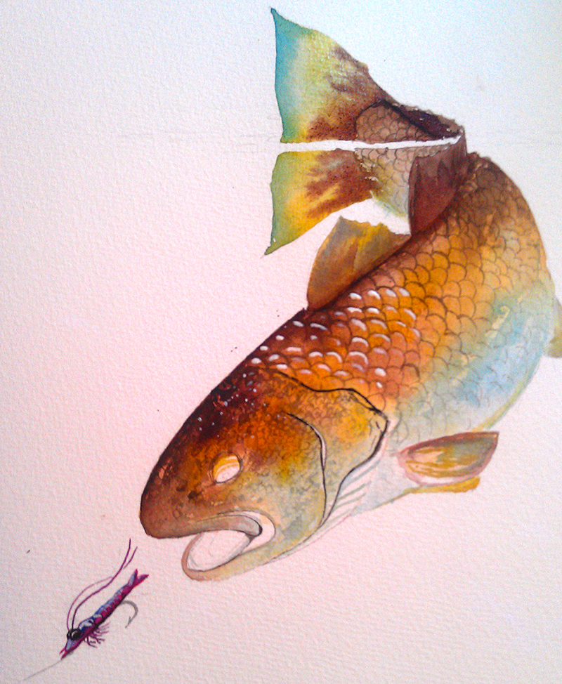 A Year On The Fly: The Redfish Painting