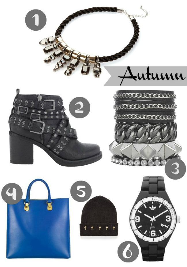 Autumn Accessories: New Season Style Starts Here! | elenyta broken rose