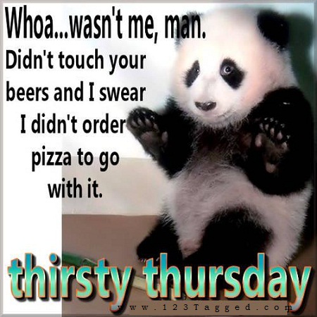 Mr. Cruiser's Notes: Beautiful, Beautiful Sunny Thursday.