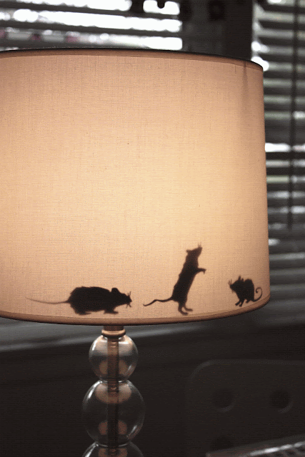 Hem Stil : Monday Makeover: Halloween Lampshade