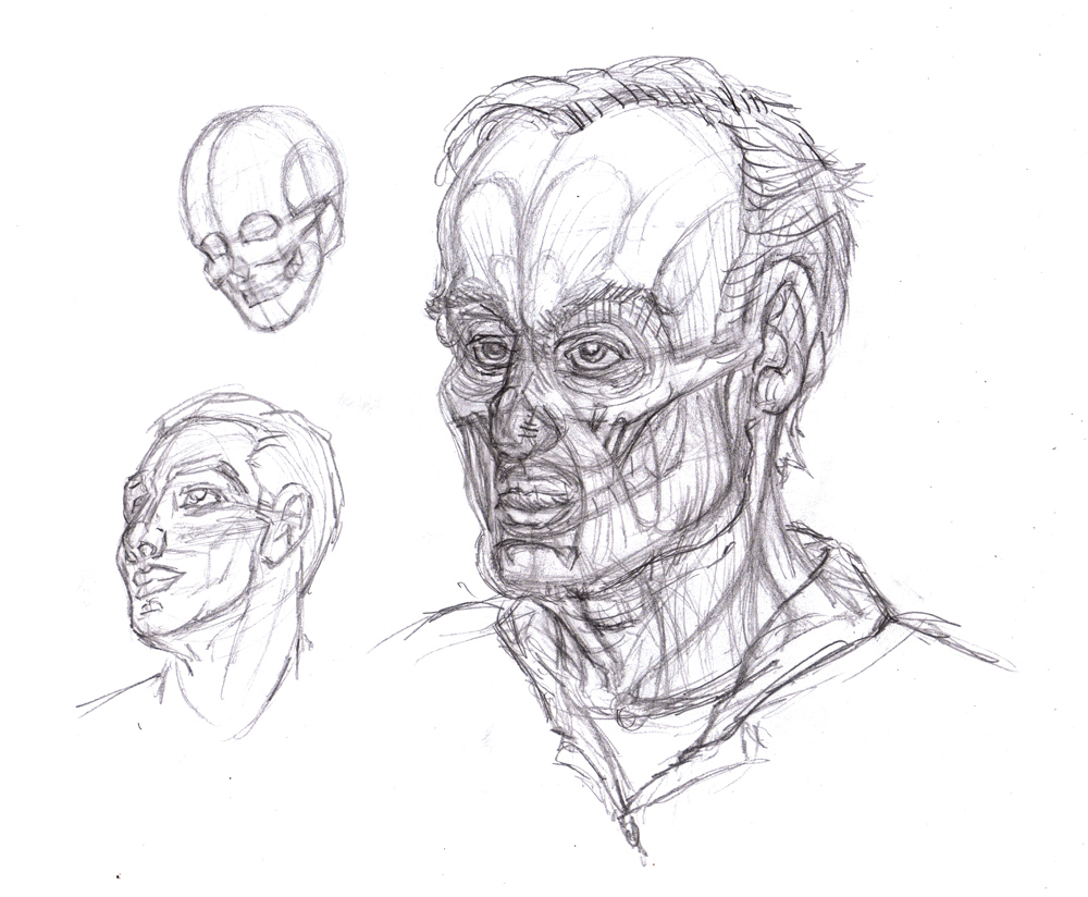 Magellin . Blog: Face Structure Studies