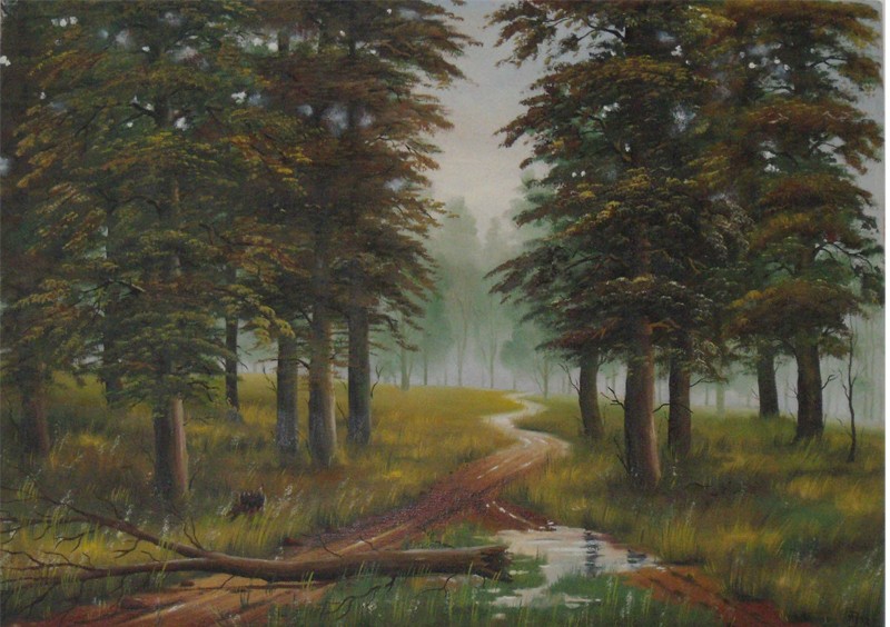 Life Pass !: Codru, freamat de vara ...