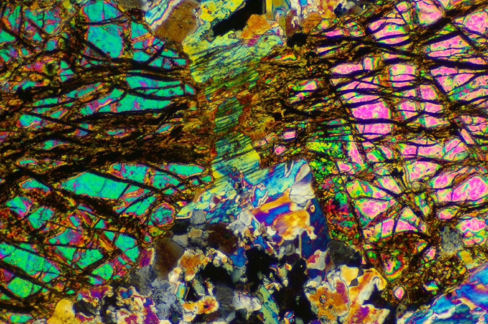 Peridotites: Cumulate olivine and interstitial pyroxene in igneous ...