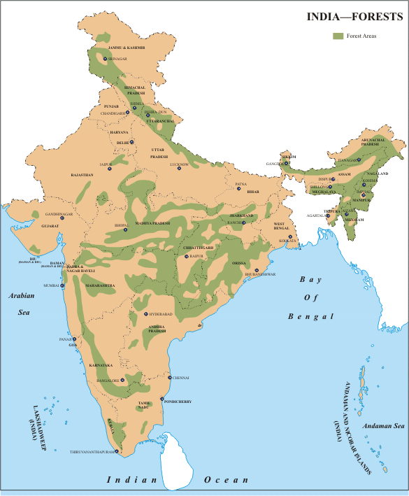 Forestry in India