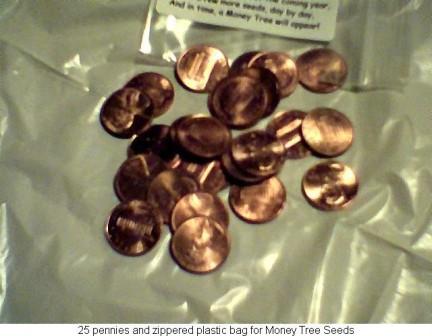 Prayers, Crafts, and Life: Handmade Christmas Gift Ideas - Money Tree Seeds