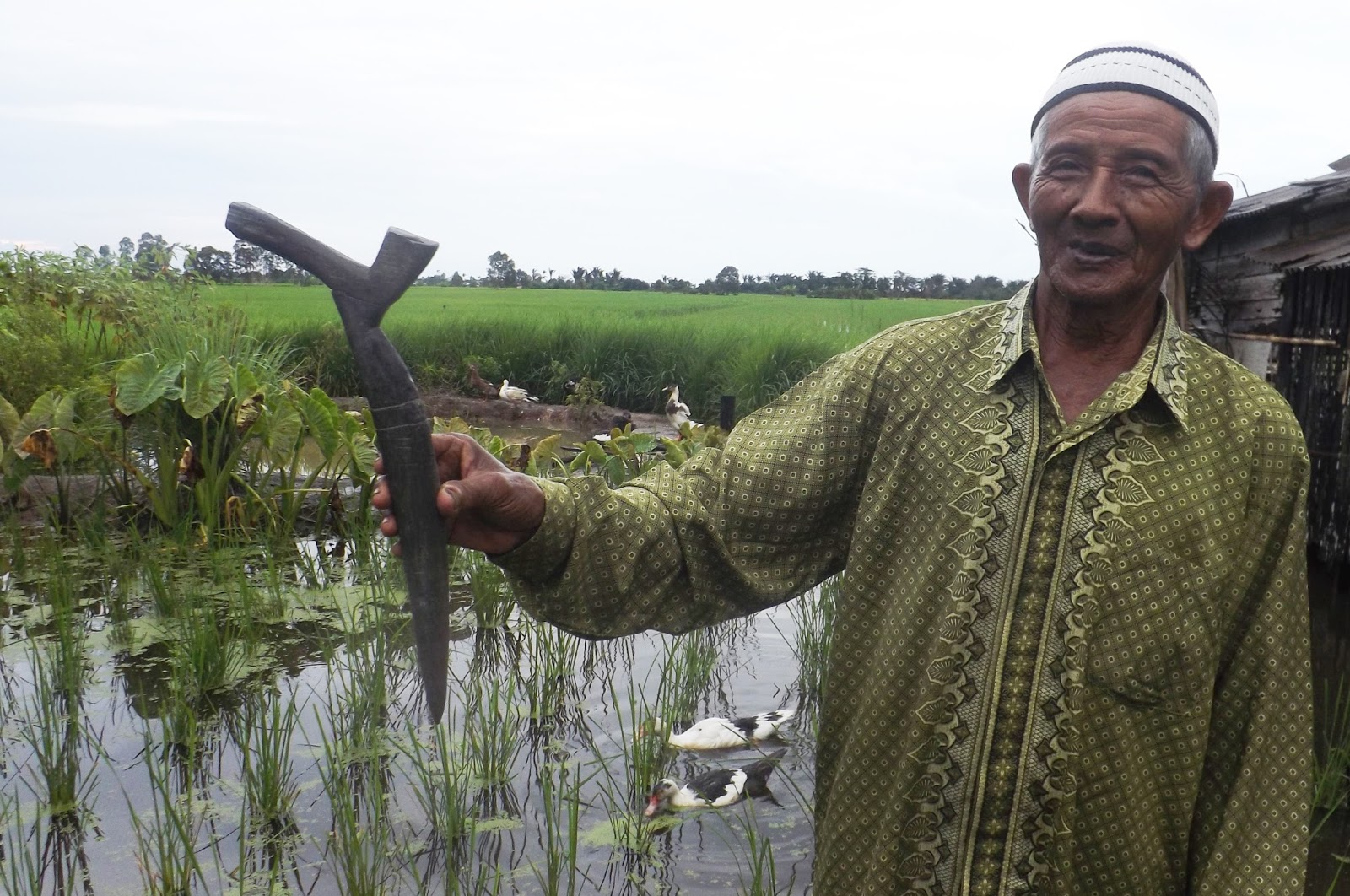 ALAT TRADISIONAL PERTANIAN KALIMANTAN SELATAN - Register Desa