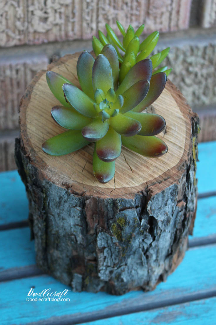 Succulent Log Planter!