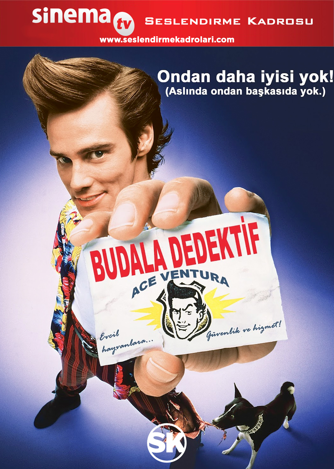Budala Dedektif (Serisi)