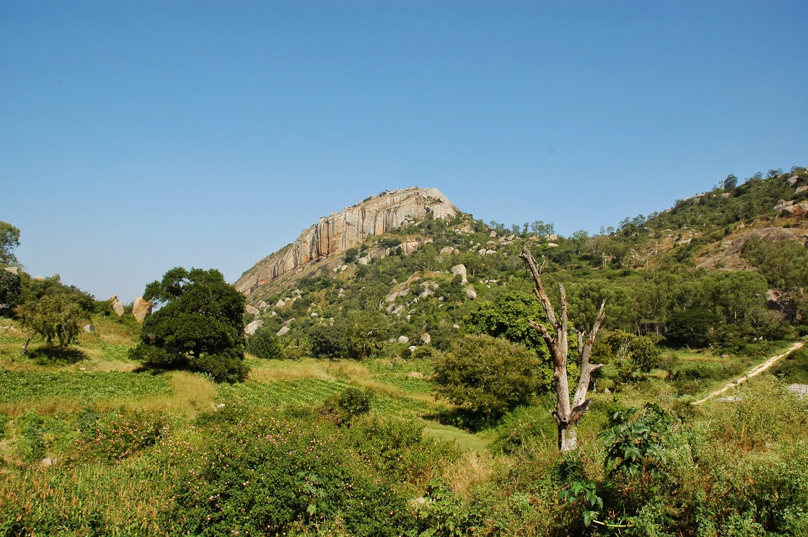 Devarayanadurga’s big game in legends and shikar tales