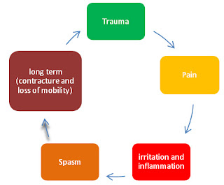 Centre Kinesis et la gestion de la douleur !: Pain and the body’s ...