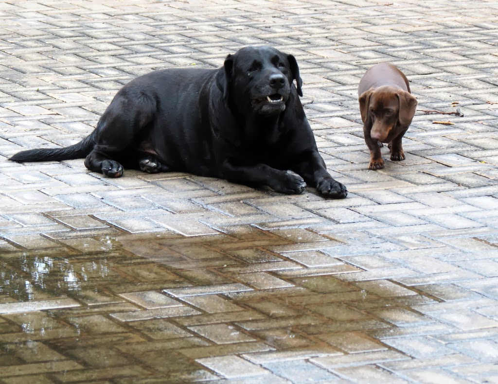 Speel-speel : Daar's water!!