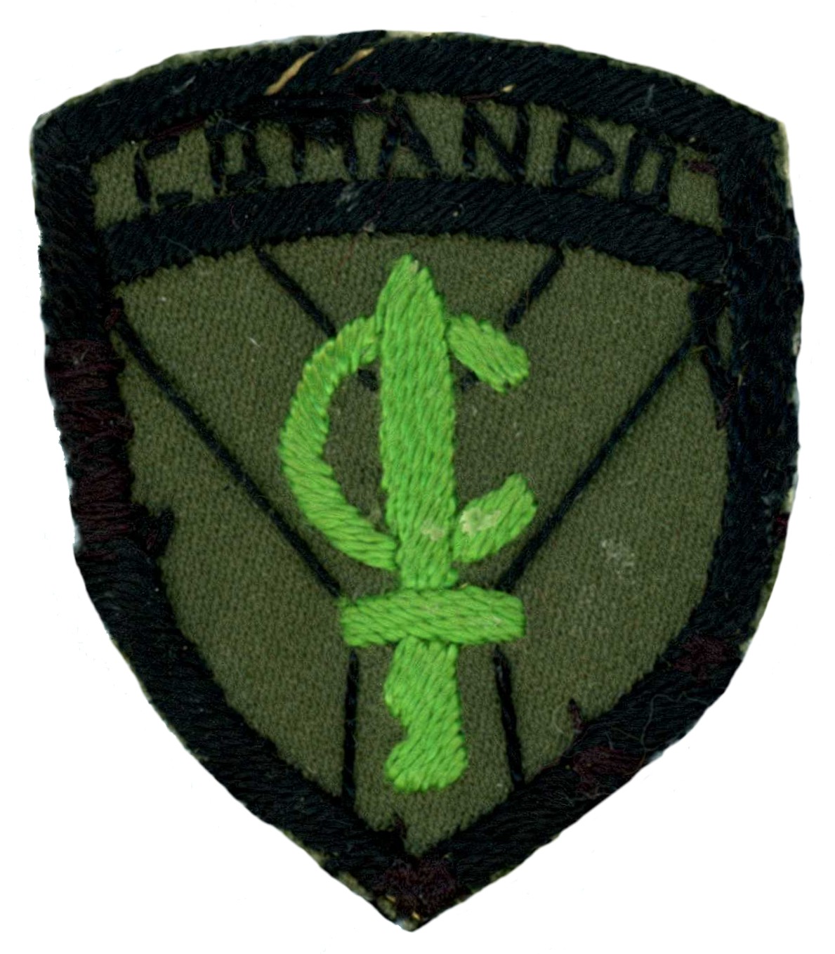 Parches de las Fuerzas Armadas Argentinas: Compañía de Comandos 601 y ...