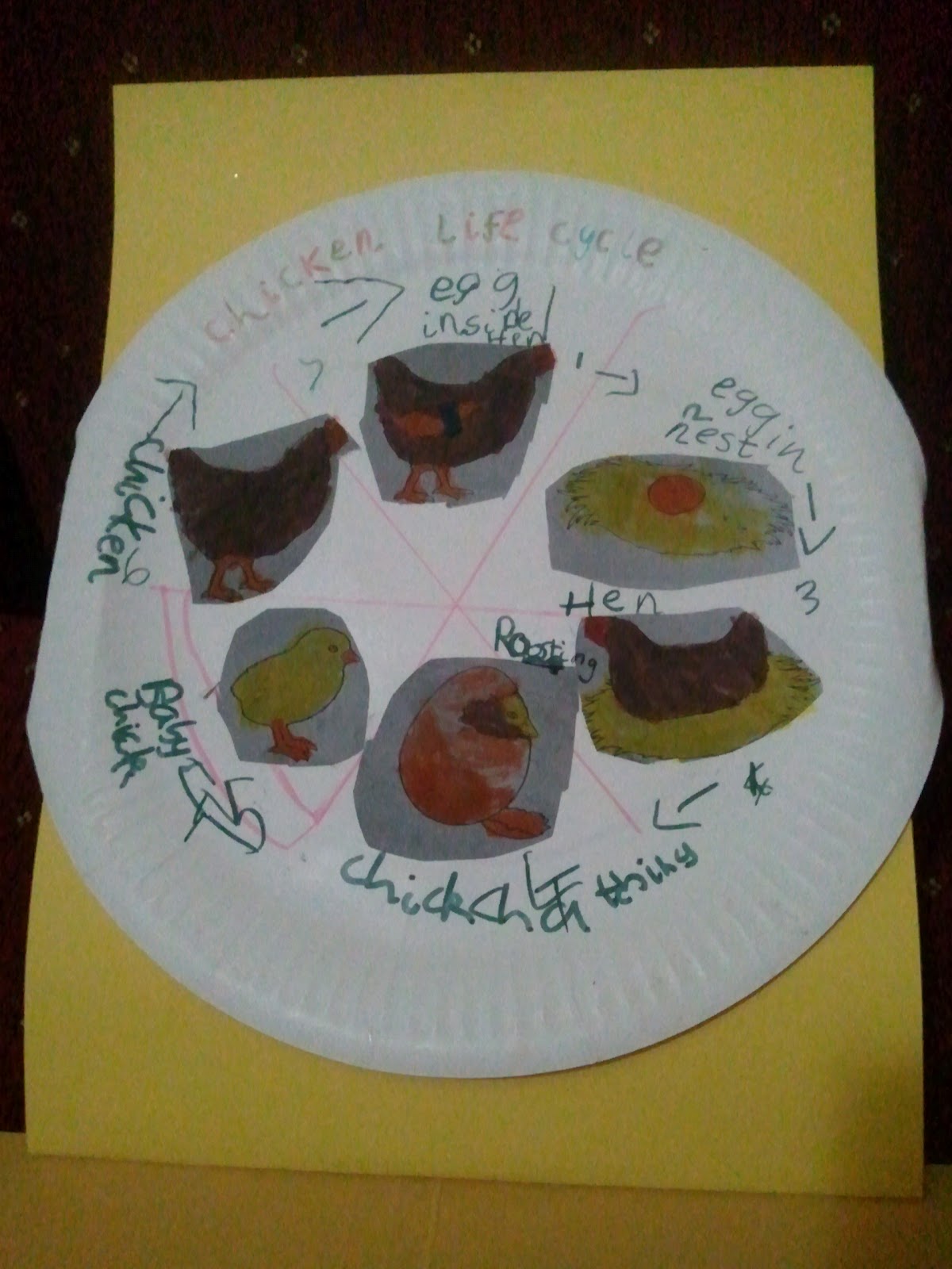 Journey to Self Sufficiency: Chicken lapbook