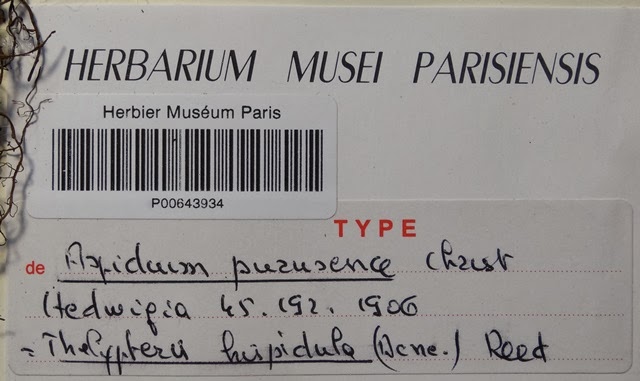 Jacques Huber and the Amazonian Botany: Plant collections