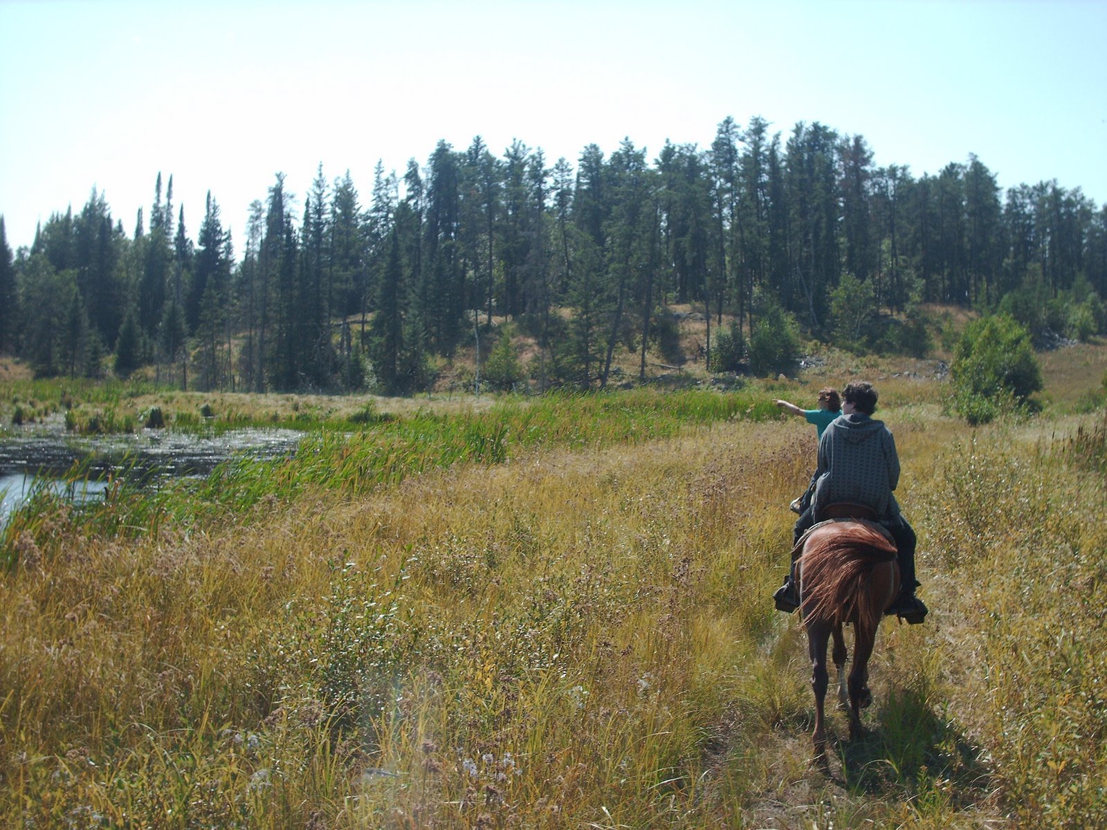 Ufology Research: 50th Anniversary of the Falcon Lake UFO Case