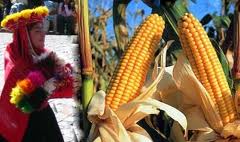 quispicanchi: COSTUMBRES DE QUISPICANCHI